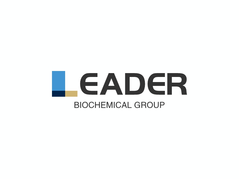 LEADER logo | 一键设计 logo - 标小智