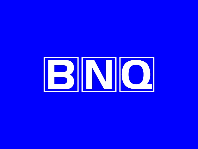 BNQlogo设计 - 标小智